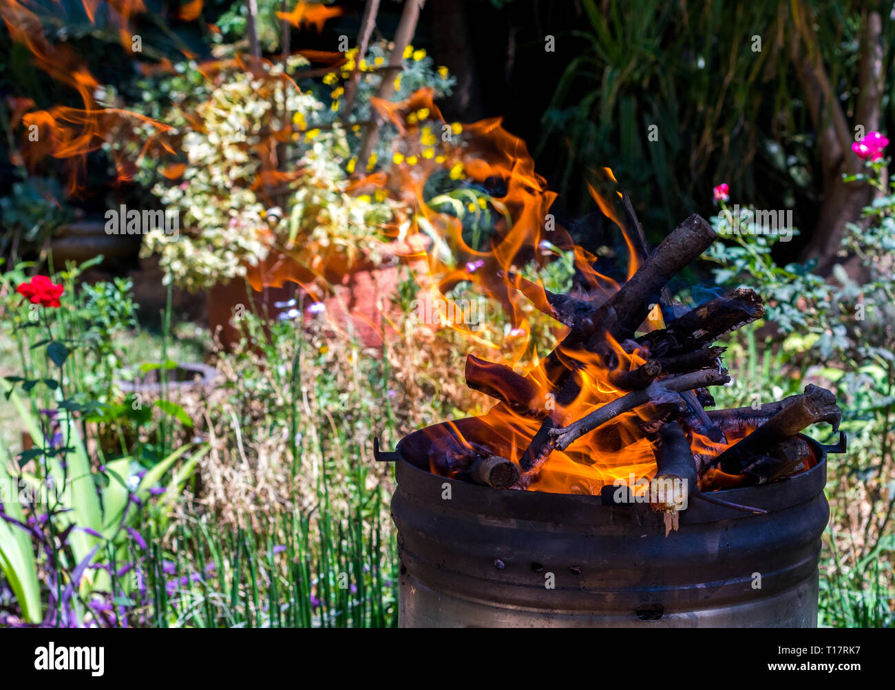 A barbeque fire lit in a steel barrel outside on a summers day image ...