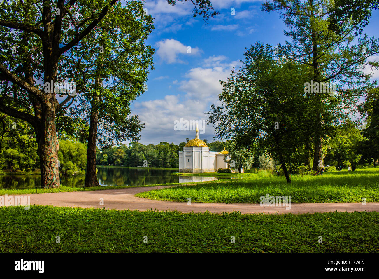 Summer paths of the park. Green alleys. Grass, foliage, trees. Bright ...