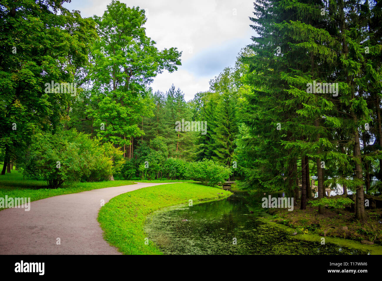 Summer paths of the park. Green alleys. Grass, foliage, trees. Bright ...