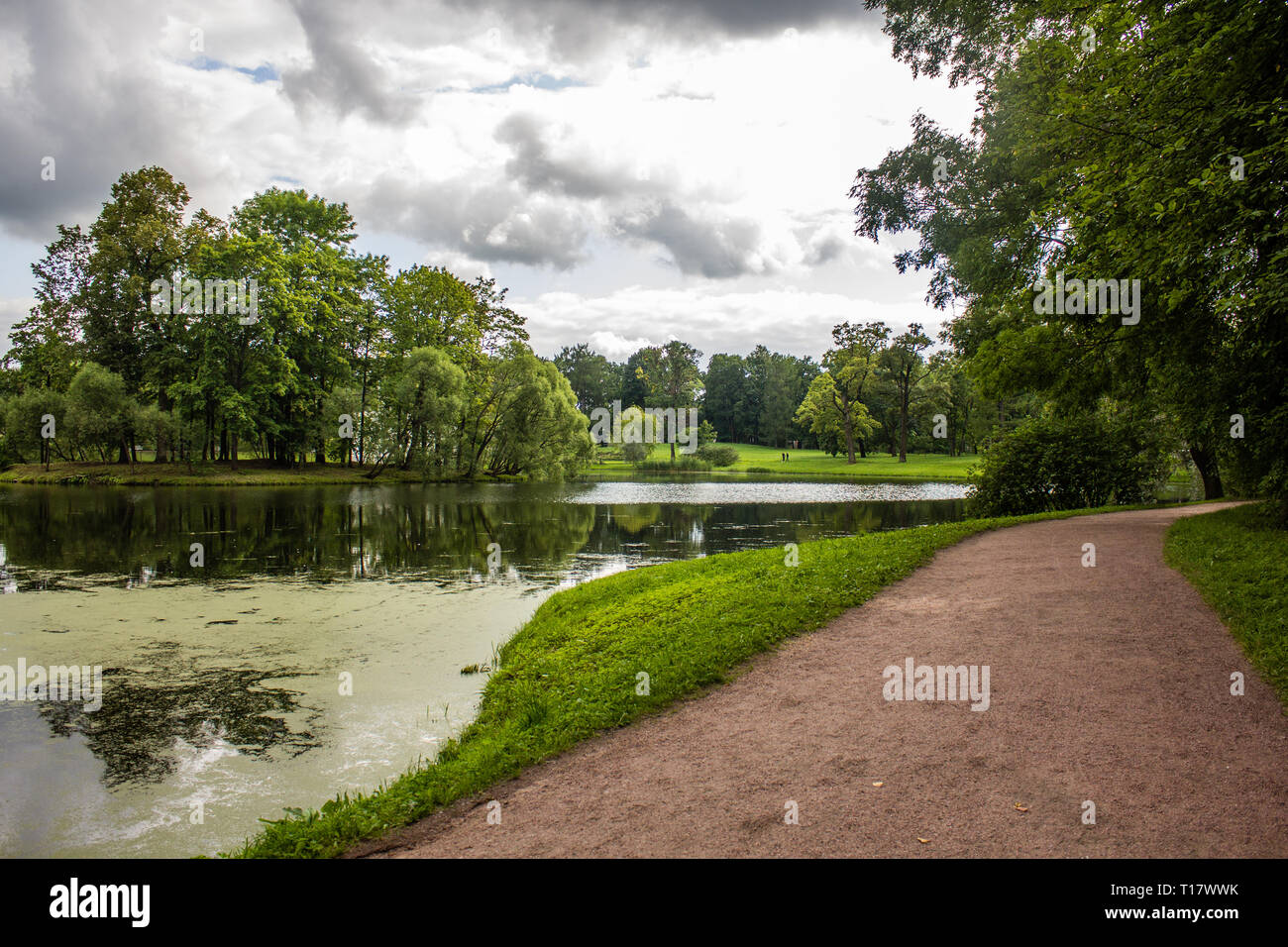 Summer paths of the park. Green alleys. Grass, foliage, trees. Bright ...