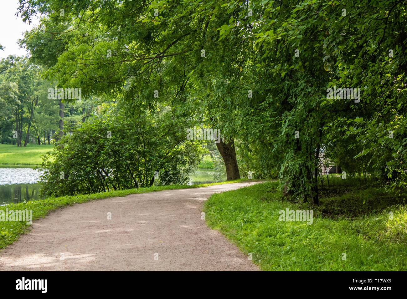 Summer paths of the park. Green alleys. Grass, foliage, trees. Bright ...