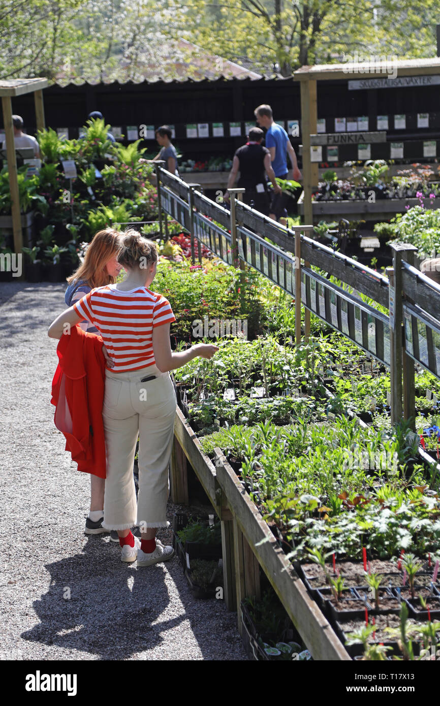 SEGELTORP 20180511 Zeta's Garden. Photo Jeppe Gustafsson Stock Photo ...