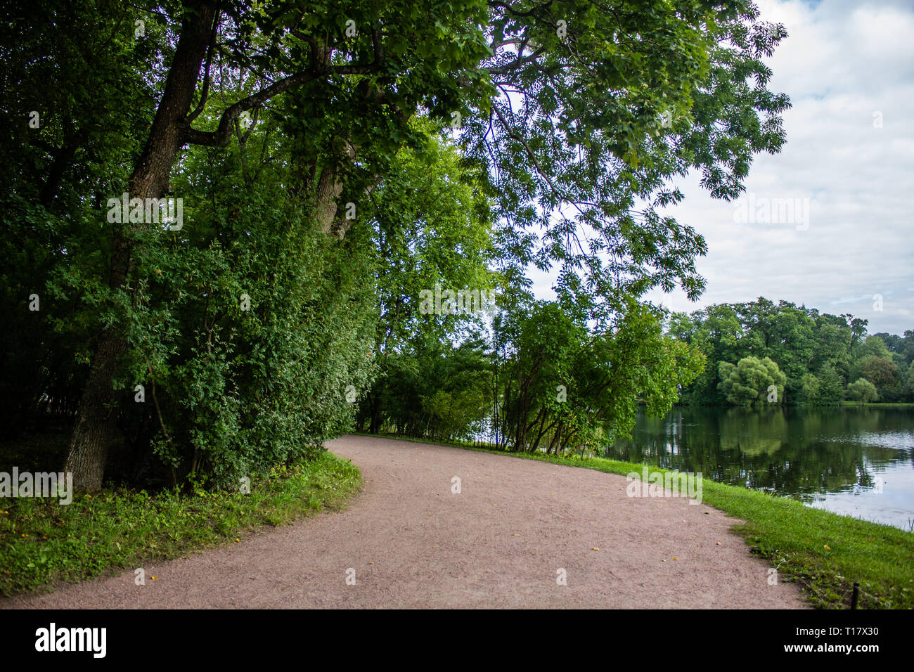 Summer paths of the park. Green alleys. Grass, foliage, trees. Bright ...