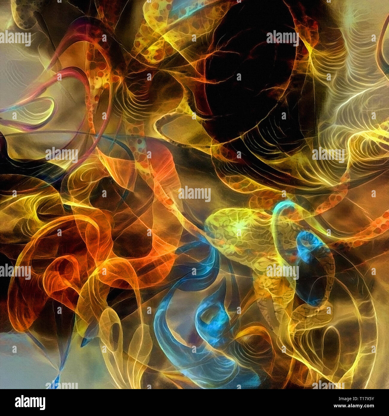 Stylish forms and figures hi-res stock photography and images - Alamy