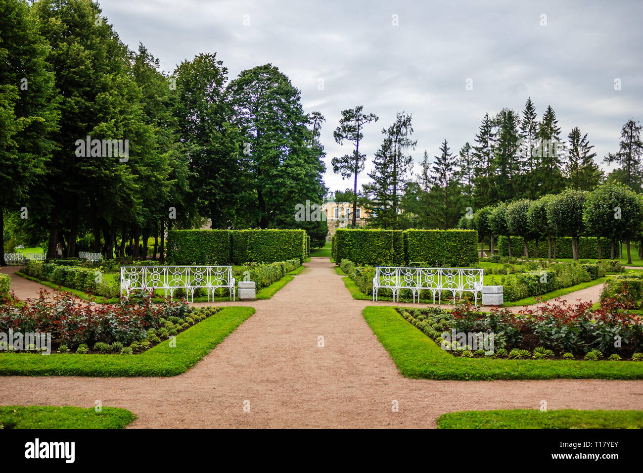 Summer paths of the park. Green alleys. Grass, foliage, trees. Bright ...