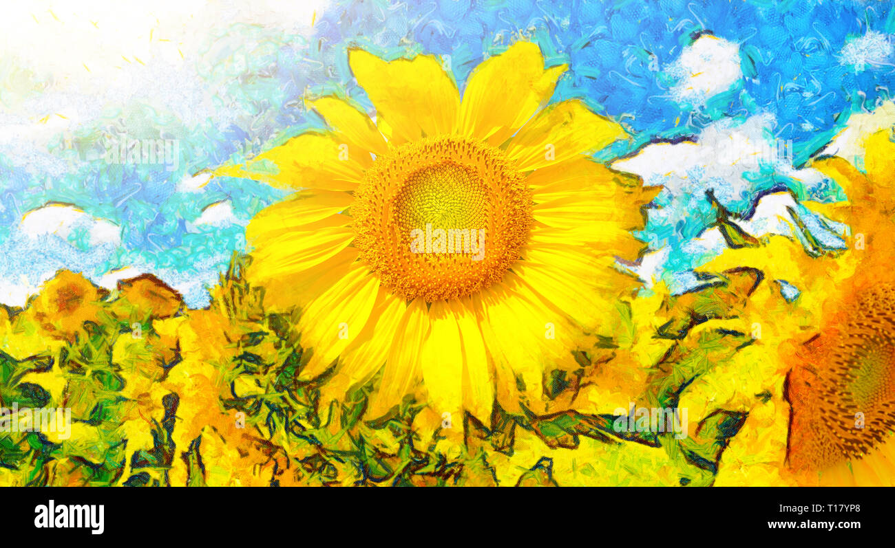 Draw sunflower hi-res stock photography and images - Alamy