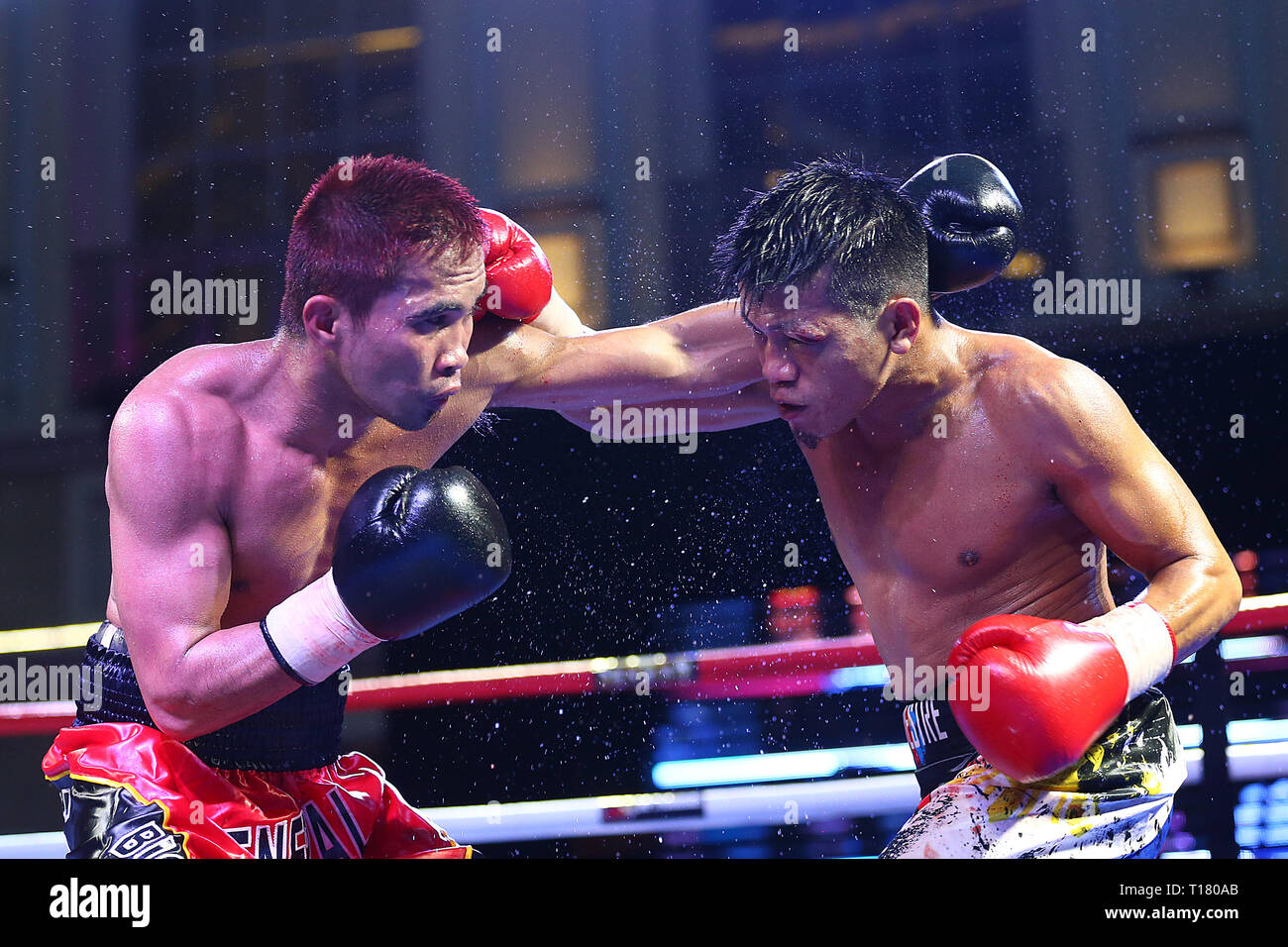 Junior flyweight hi-res stock photography and images - Alamy