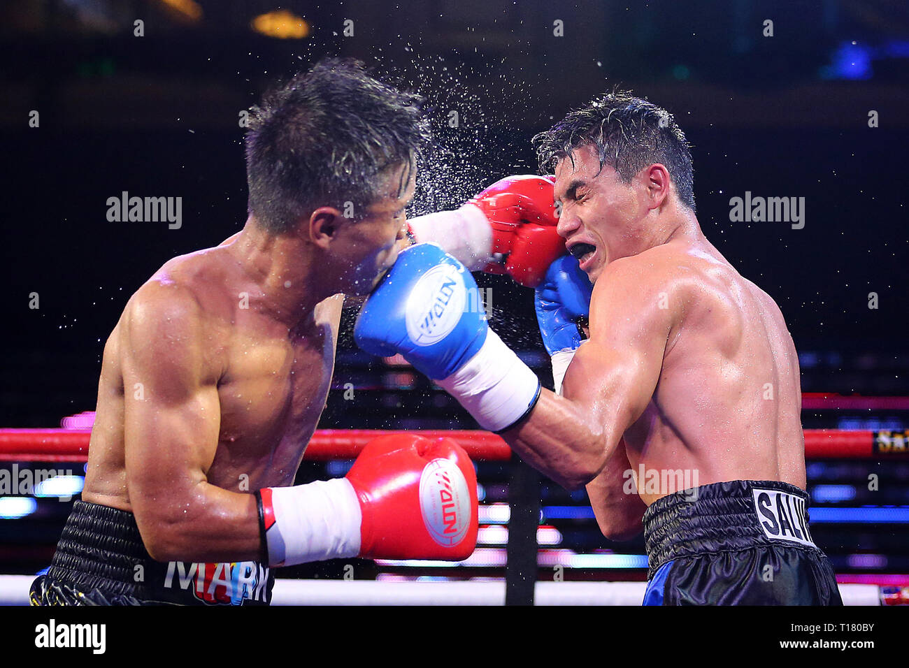 Pasay City, Philippines. 23rd Mar, 2019. The Philippines' Rene Mark ...