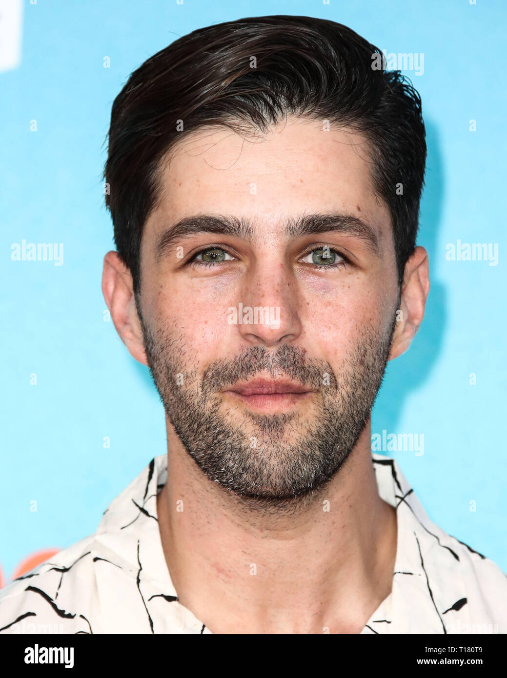 Josh Peck Beard