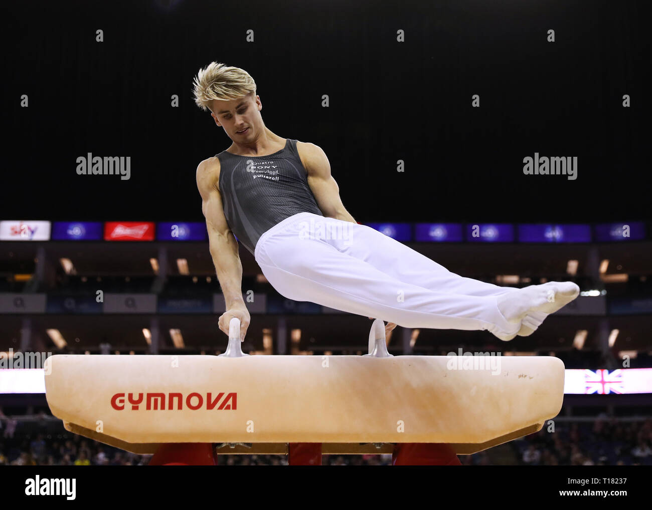 London, UK. 24th Mar, 2019. 23rd March 2019, O2 Arena, London, England ...