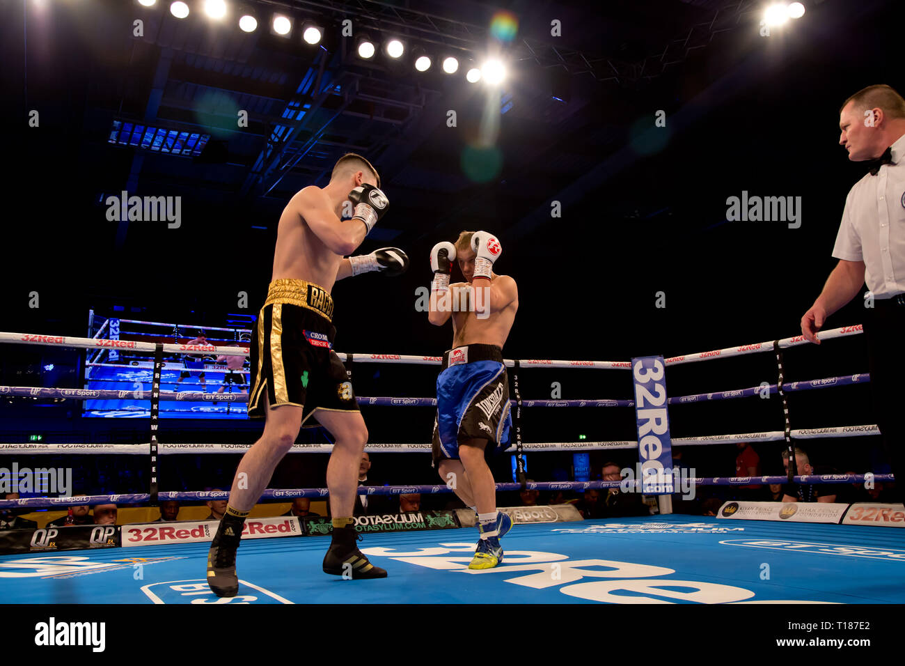 Lithuanian professional boxers hi-res stock photography and images - Alamy