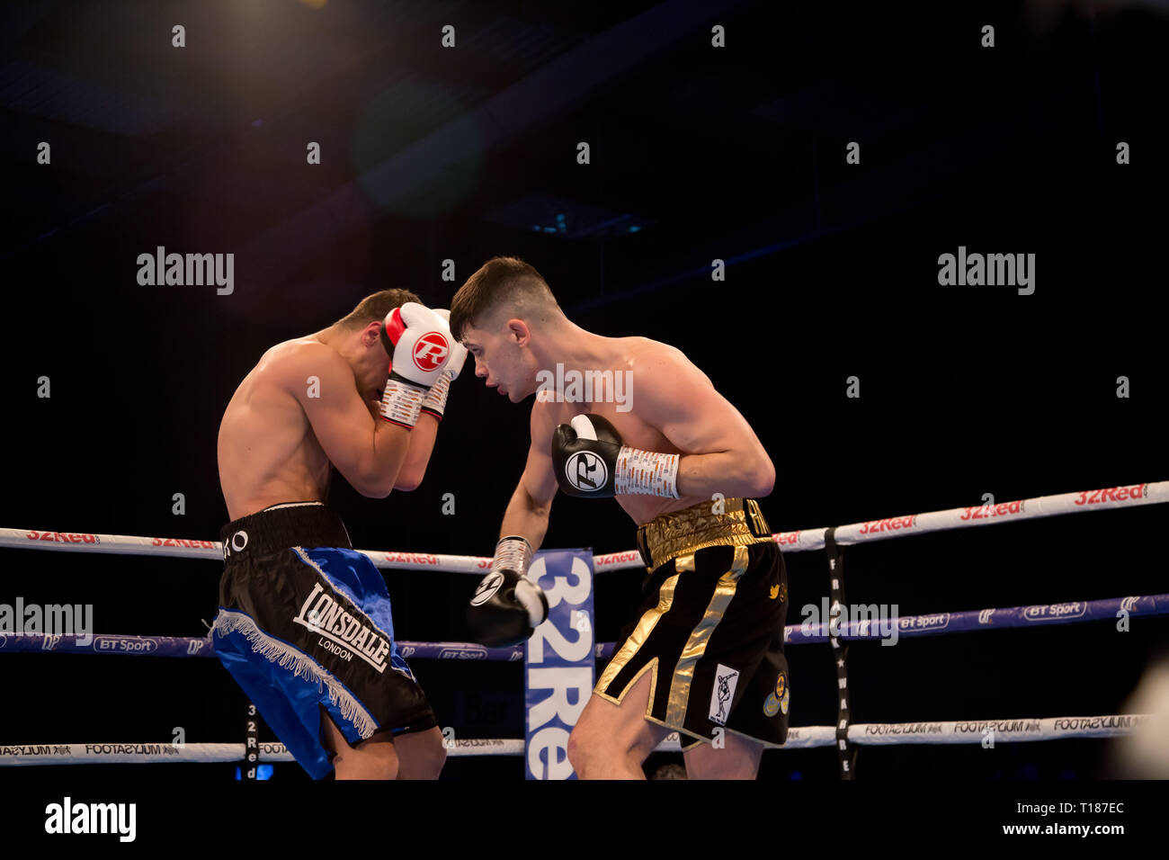 Lithuanian professional boxers hi-res stock photography and images - Alamy