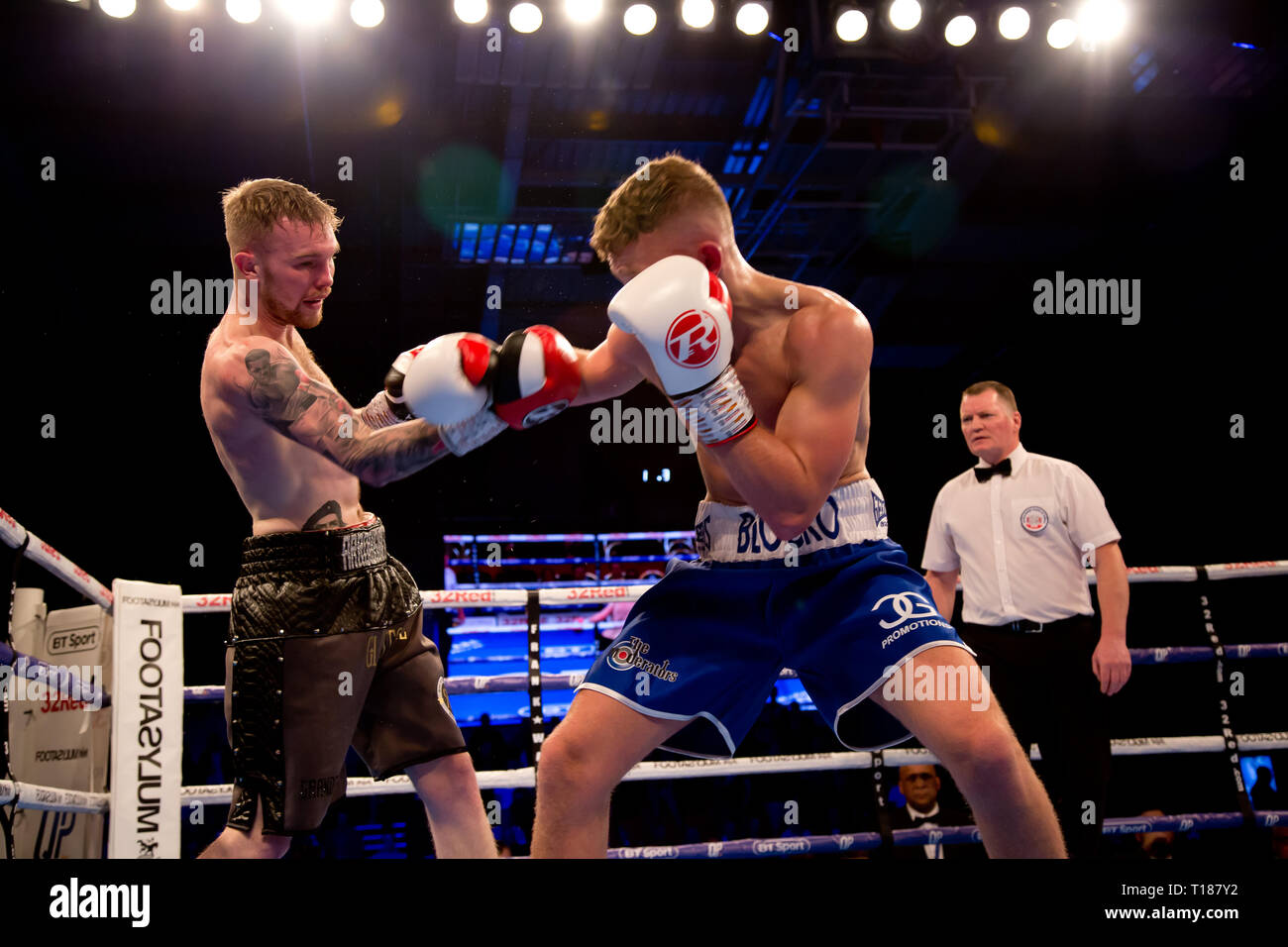 International Middleweight Contest TROY WILLIAMSON V KEVIN McCAULEY at ...
