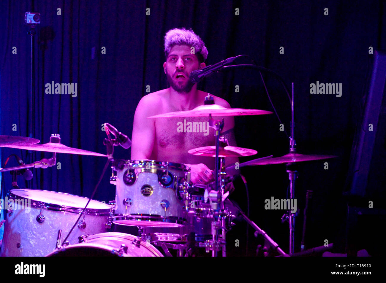 Gorilla concert hi-res stock photography and images - Alamy