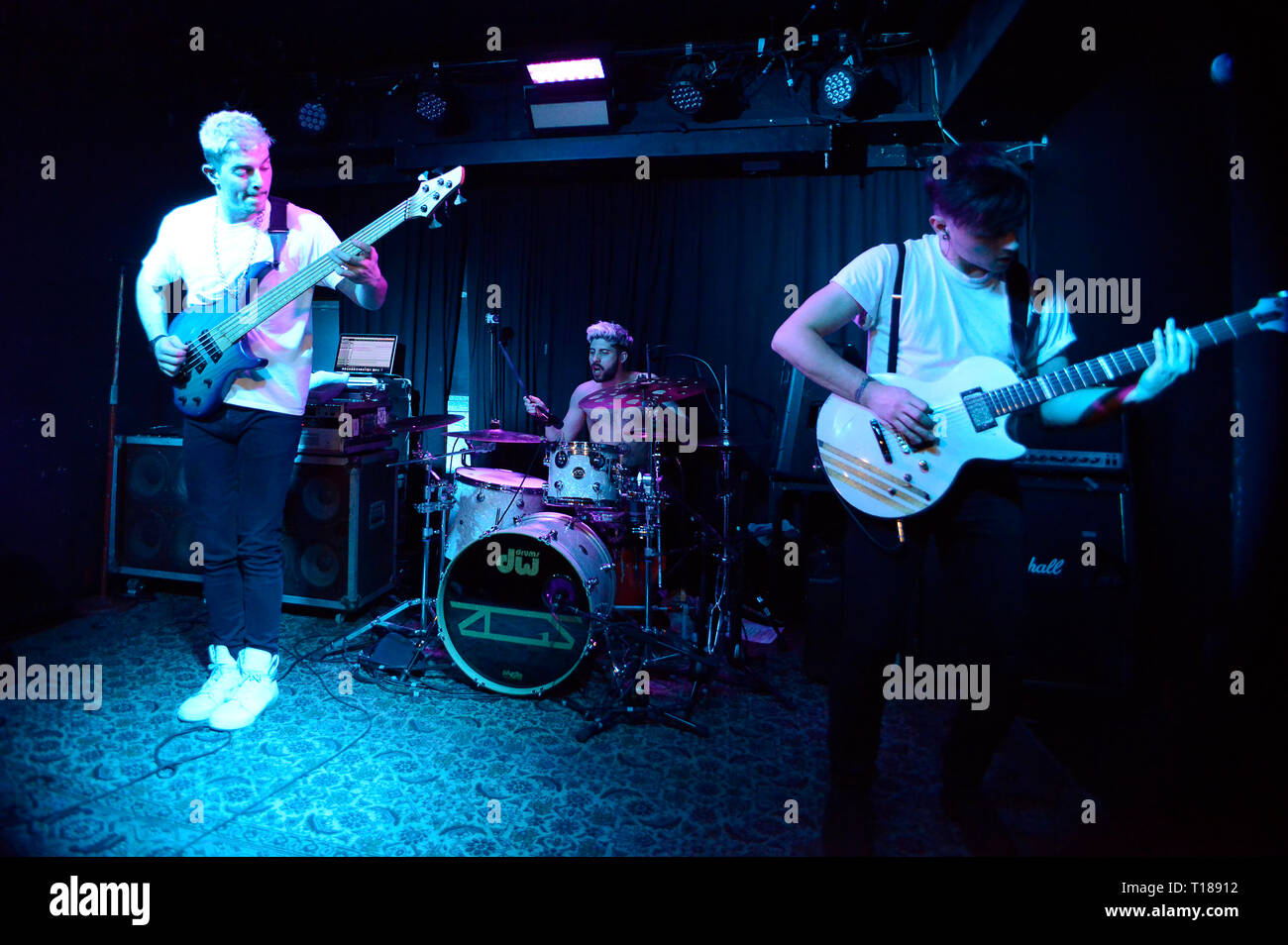 Gorilla concert hi-res stock photography and images - Alamy