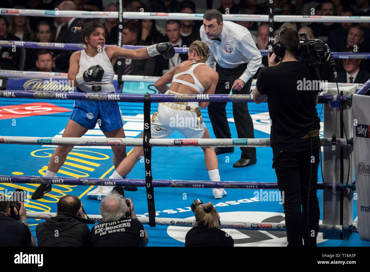 Shannon courtenay boxer hi-res stock photography and images - Alamy