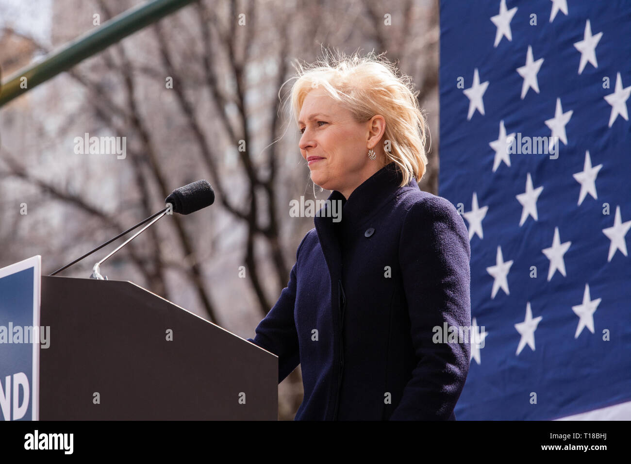 New York, USA. 24th Mar, 2019. New York, NY - 24 March 2019. Senator ...