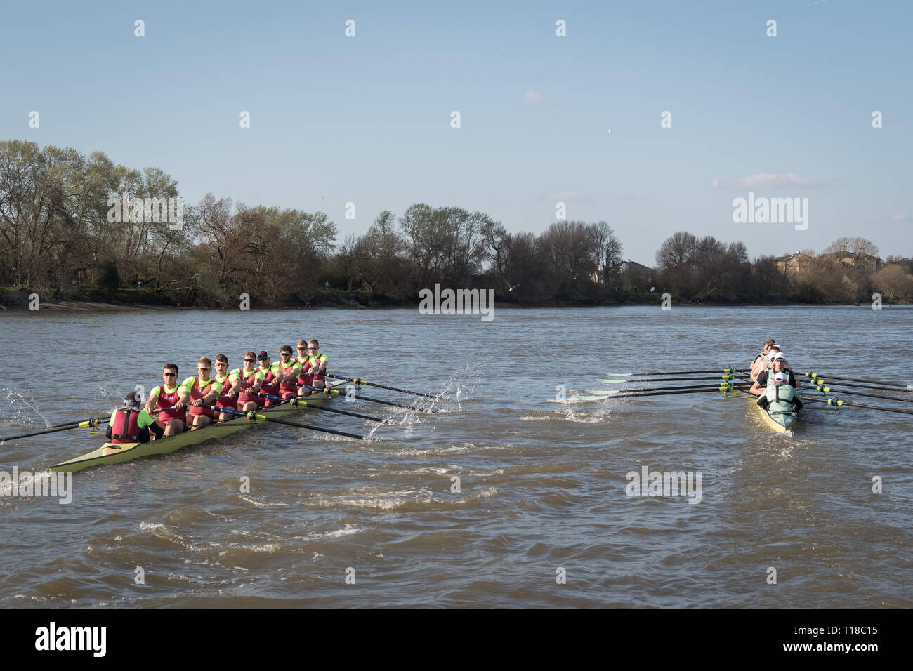 Cambridge university boat clubs grant bitler hi-res stock photography ...