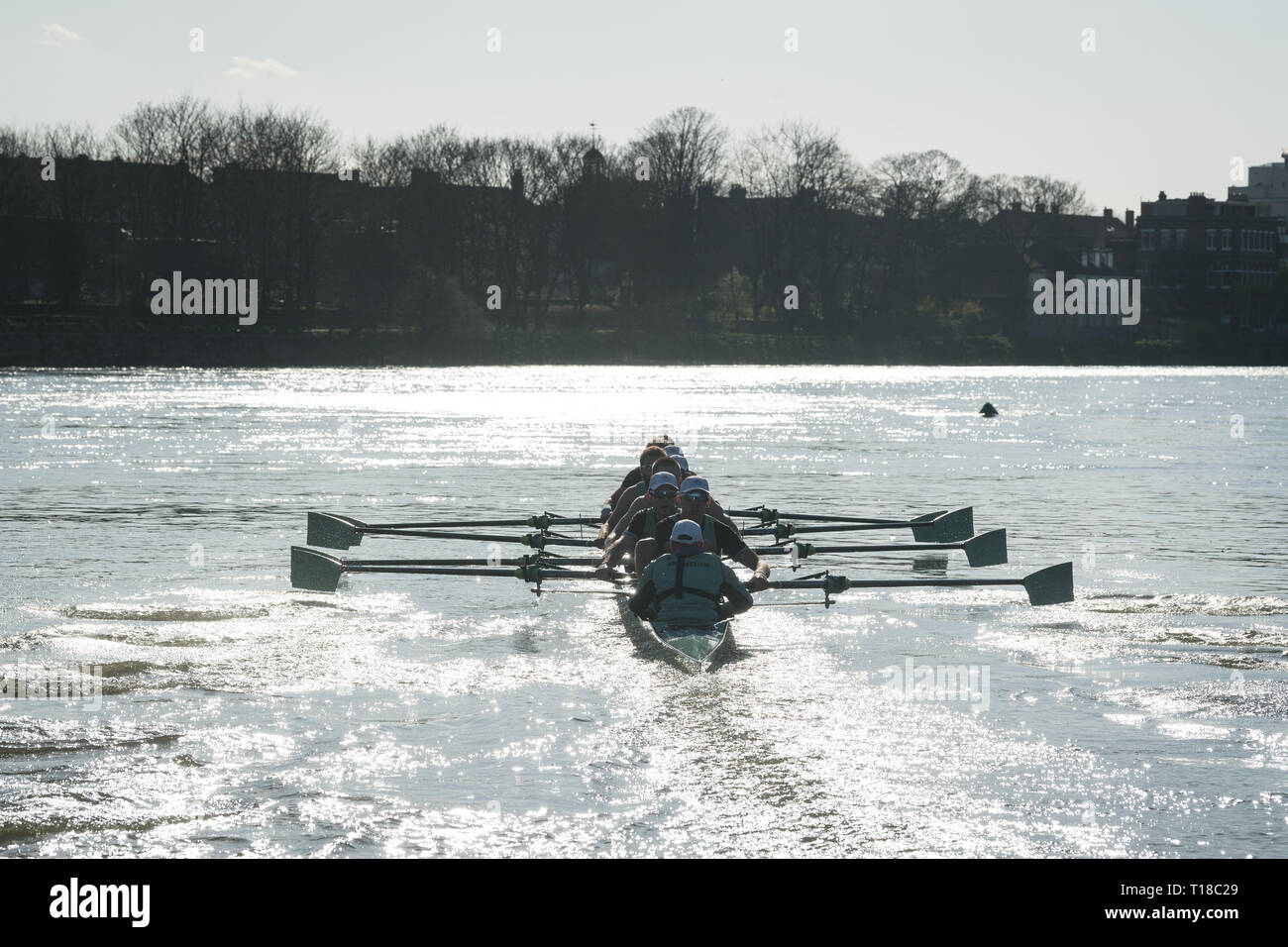 James cracknell rowing hi-res stock photography and images - Alamy