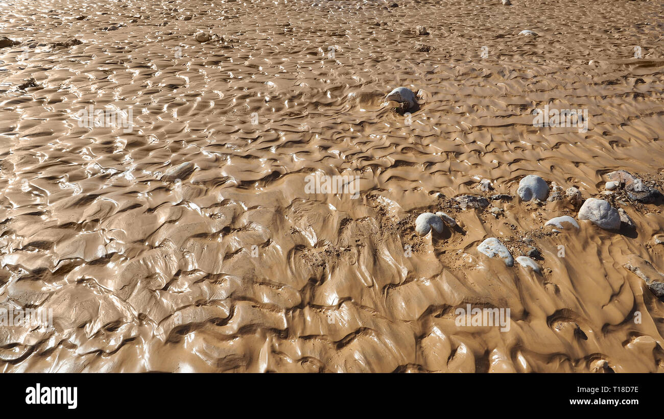 Mud in Negev desert after rain Stock Photo - Alamy