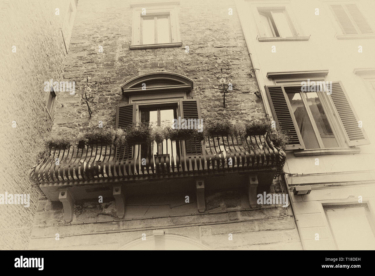 Rooftop container gardening hi-res stock photography and images - Alamy
