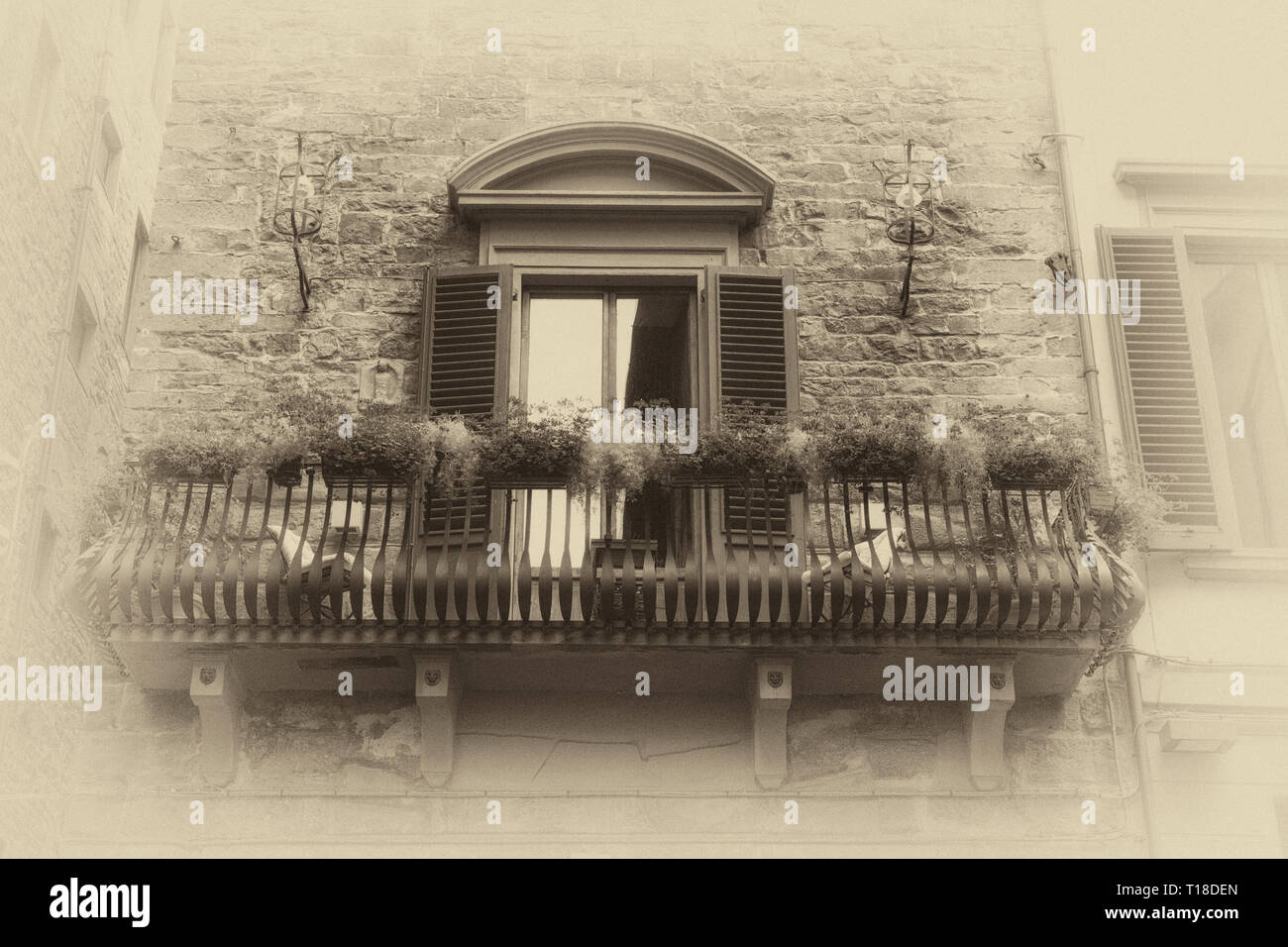 Balcony container garden in Florence, Tuscany, Italy Stock Photo - Alamy