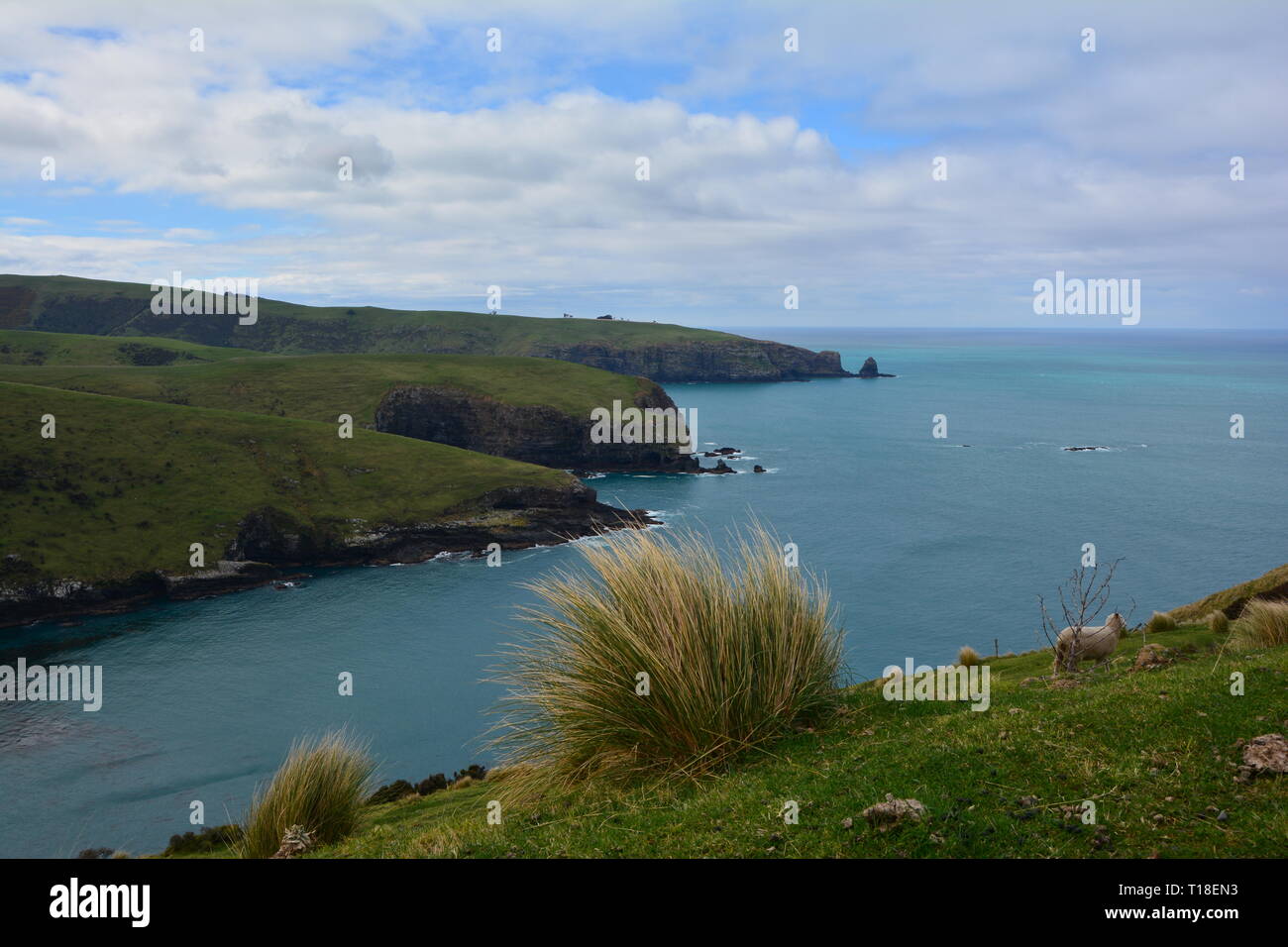 Flea bay hi-res stock photography and images - Alamy