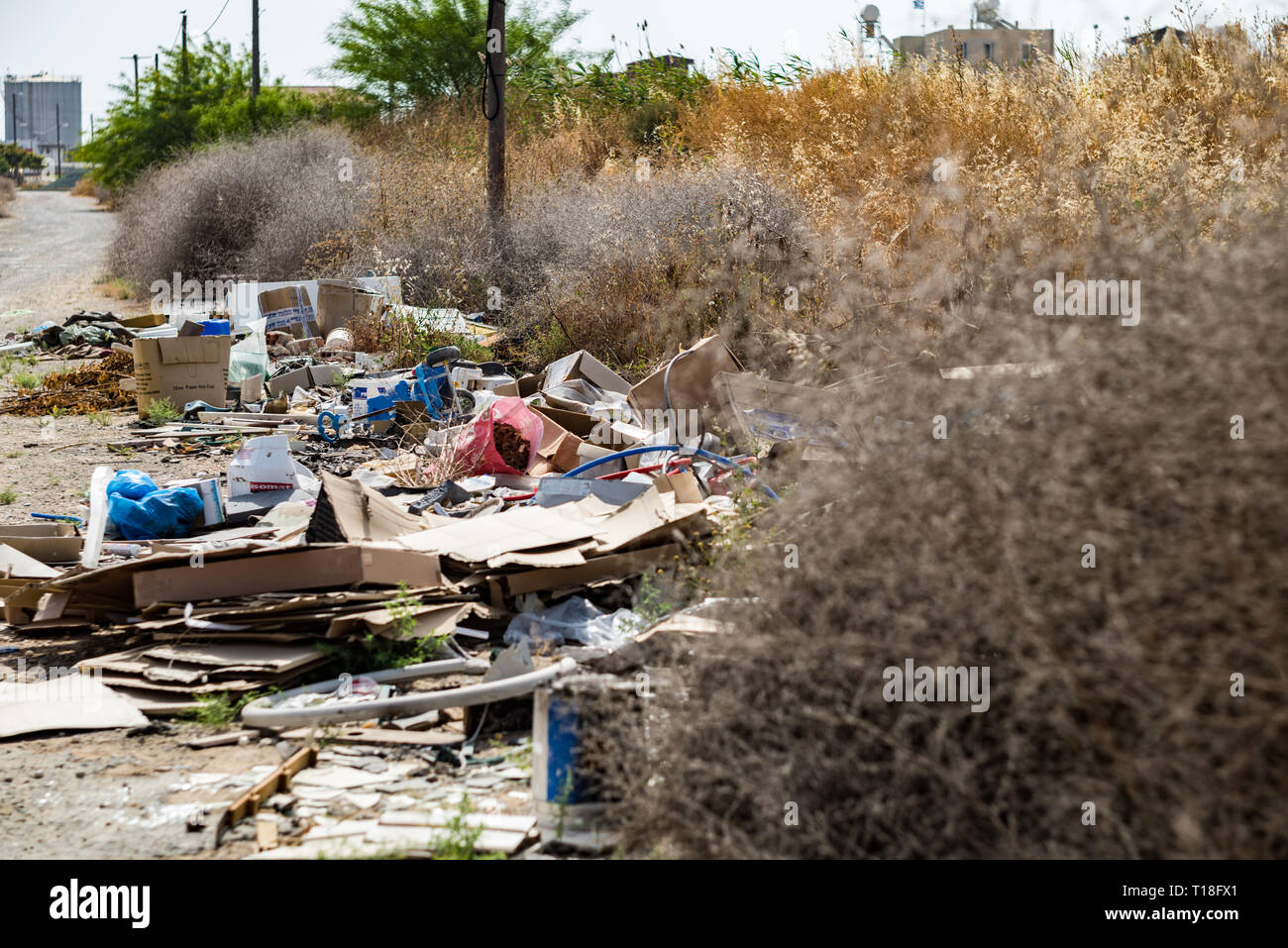 Garbage thrown away in natural area - forest part - illegal dumping ...