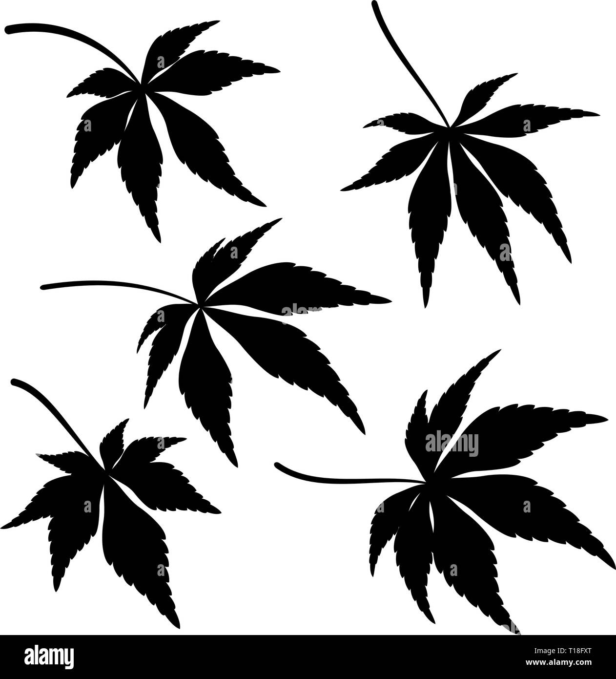 Maple Leaves, Pictogram Set Stock Vector Image & Art - Alamy