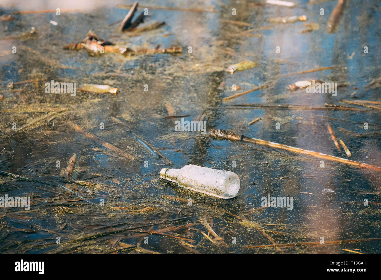 Old Plastic Bottle Floats In Water Of Swamp Or Bog. Used Empty Bottle ...