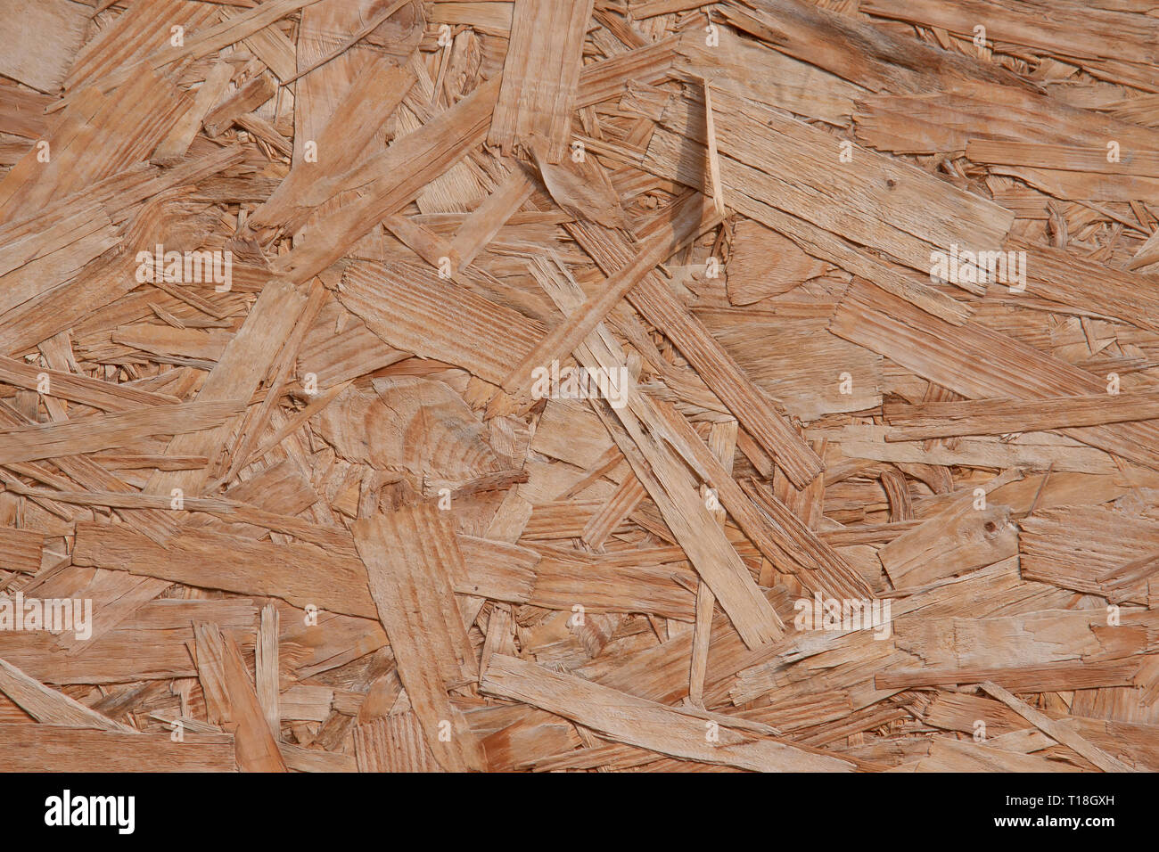 Pressboard on a Berlin construction site, Berlin, Germany Stock Photo ...