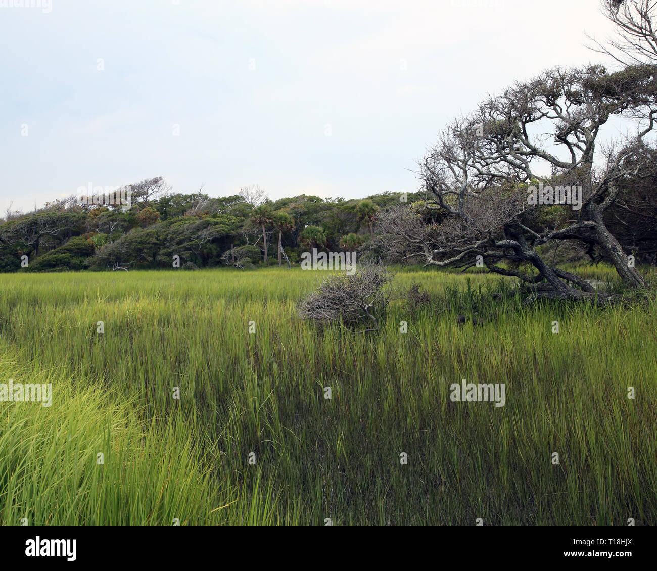 Botany bay plantation heritage preserve hi-res stock photography and ...