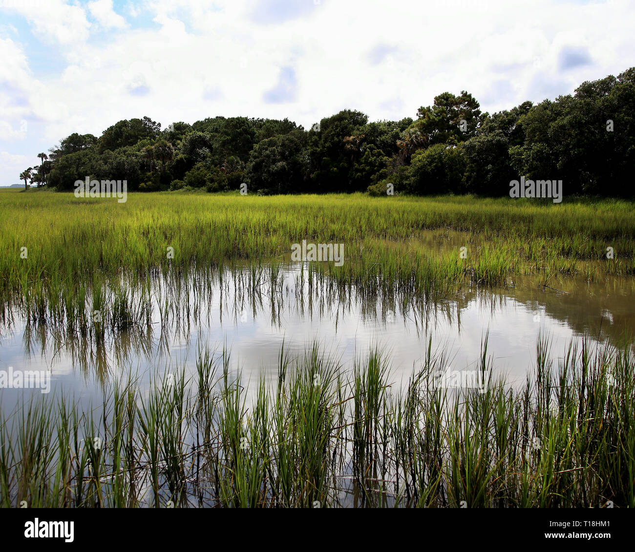 Botany Bay Plantation Heritage Preserve High Resolution Stock ...