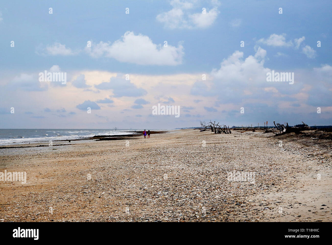 Botany Bay Plantation Heritage Preserve High Resolution Stock ...