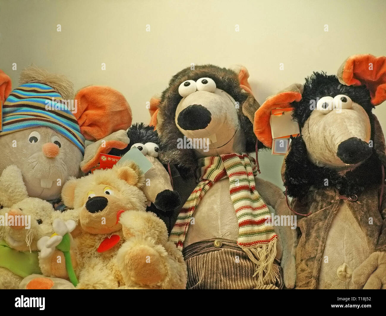 plush toys, group portrait Stock Photo - Alamy