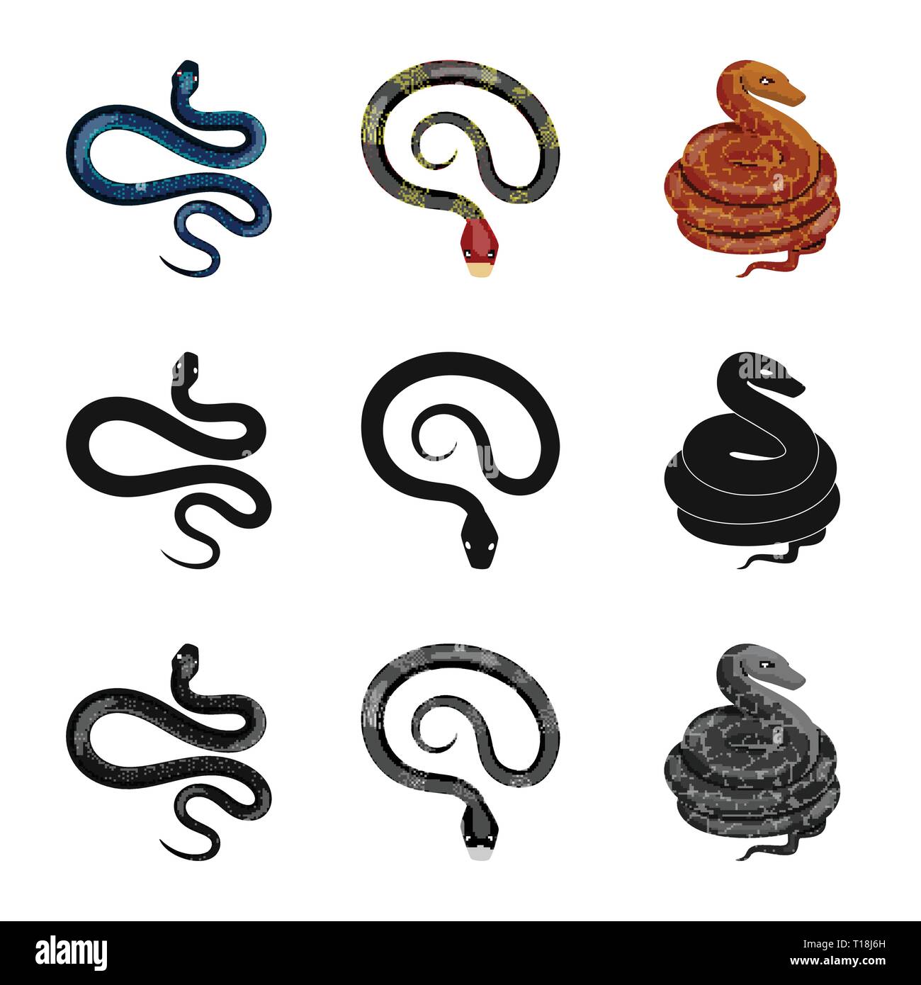 amphibian,snake,anaconda,coral,python,animal,red,cobra,black,blue,white ...