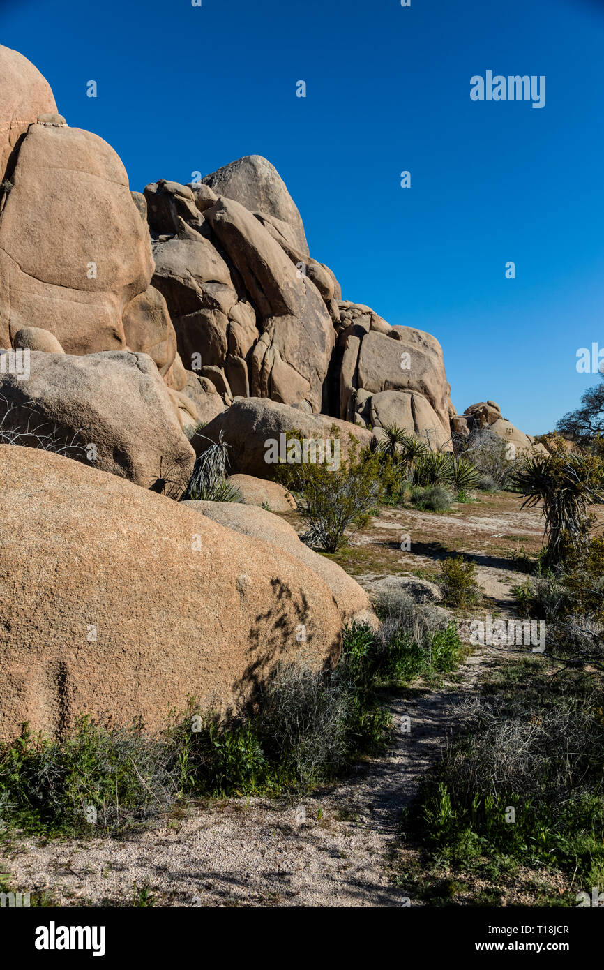 The granite rock formations come in many incredible shapes - JOSHUA ...