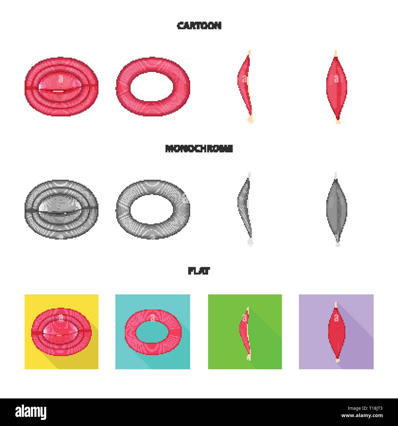 Vector design of fiber and muscular symbol. Collection of fiber and ...