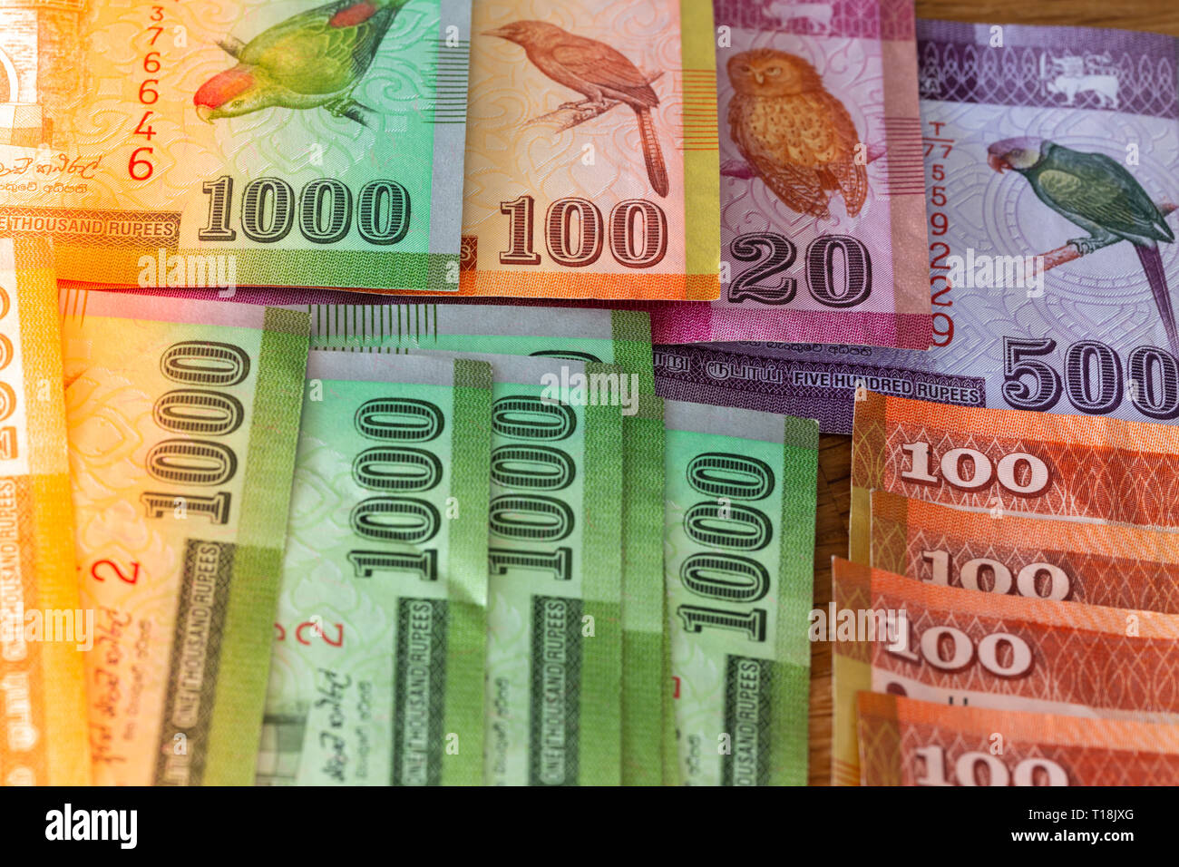 Sri Lanka Money High Resolution Stock Photography and Images - Alamy