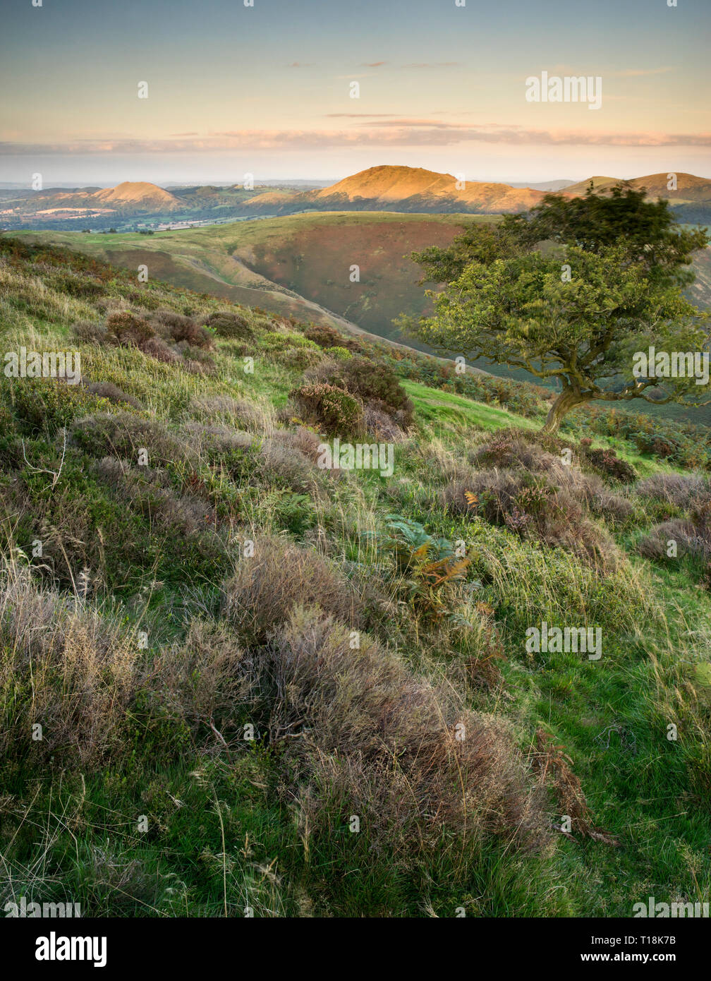 Caer Caradoc and The Lawley, two of Shropshire's hills viewed from The ...