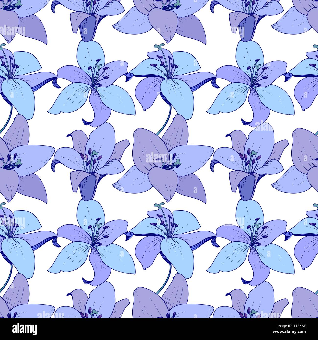 Vector Lily floral botanical flower. Engraved ink art. Seamless ...