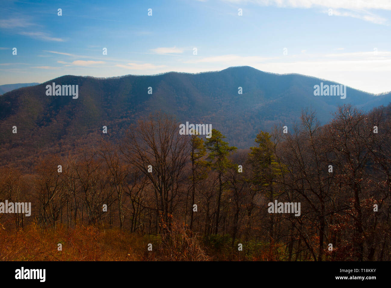 Terrapin Mountain in Fall, Virginia Stock Photo - Alamy