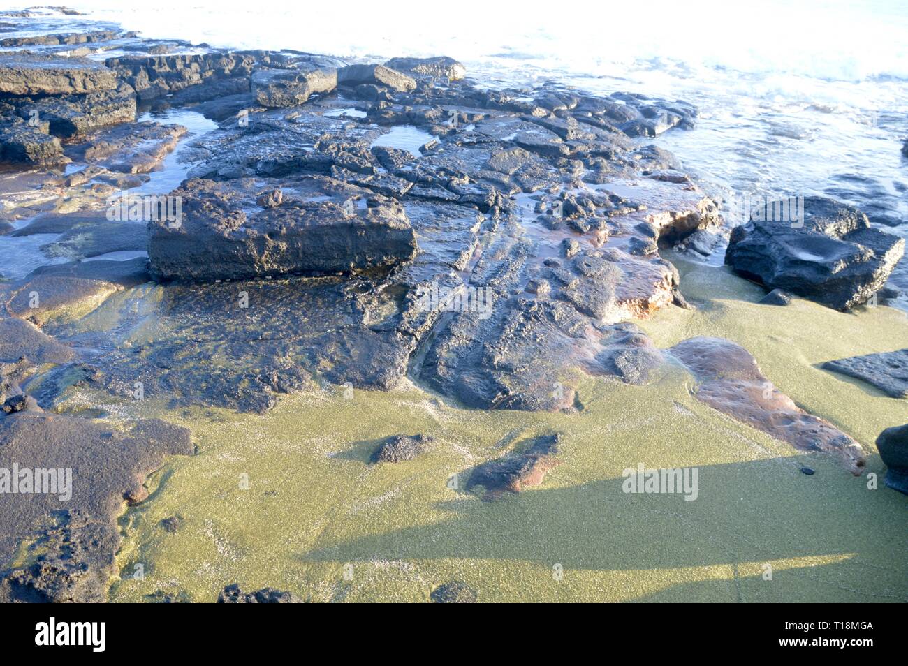 olive green sand on a coast of Hawaii Stock Photo - Alamy
