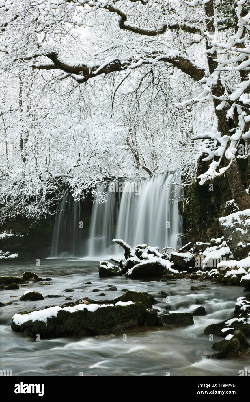 Sqwd Ddwli Waterfall, Brecon Beacons, Wales, UK Stock Photo - Alamy