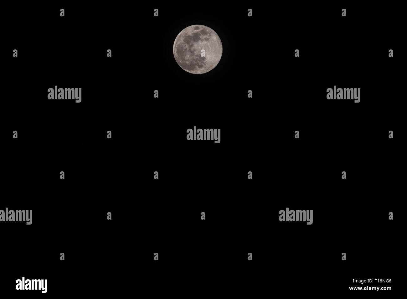 Bright worm hi-res stock photography and images - Alamy