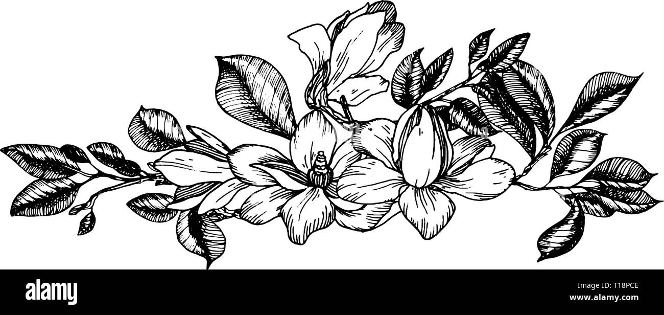 Engraving wood decorative Stock Vector Images - Alamy