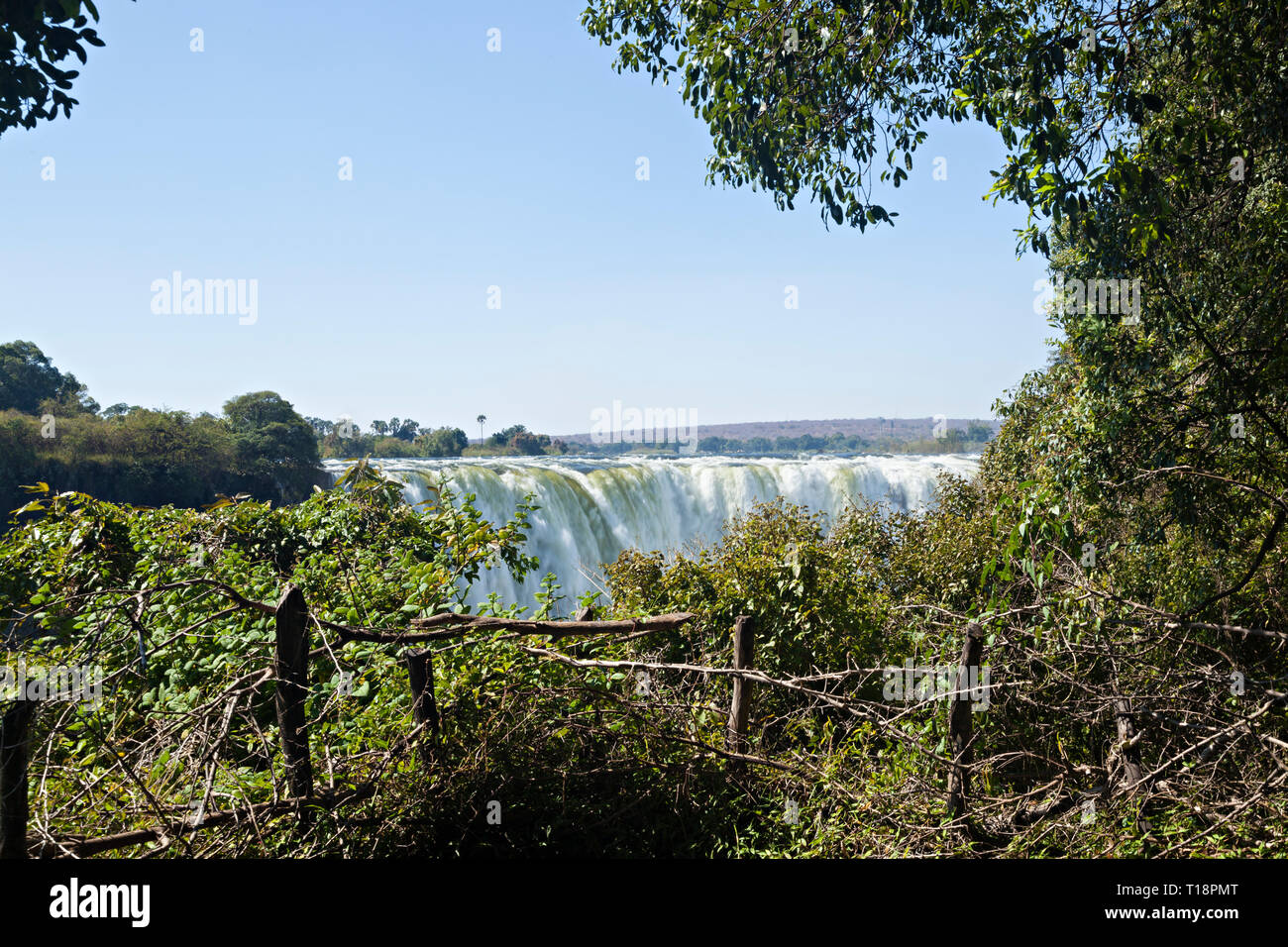 Vegetation view hi-res stock photography and images - Alamy