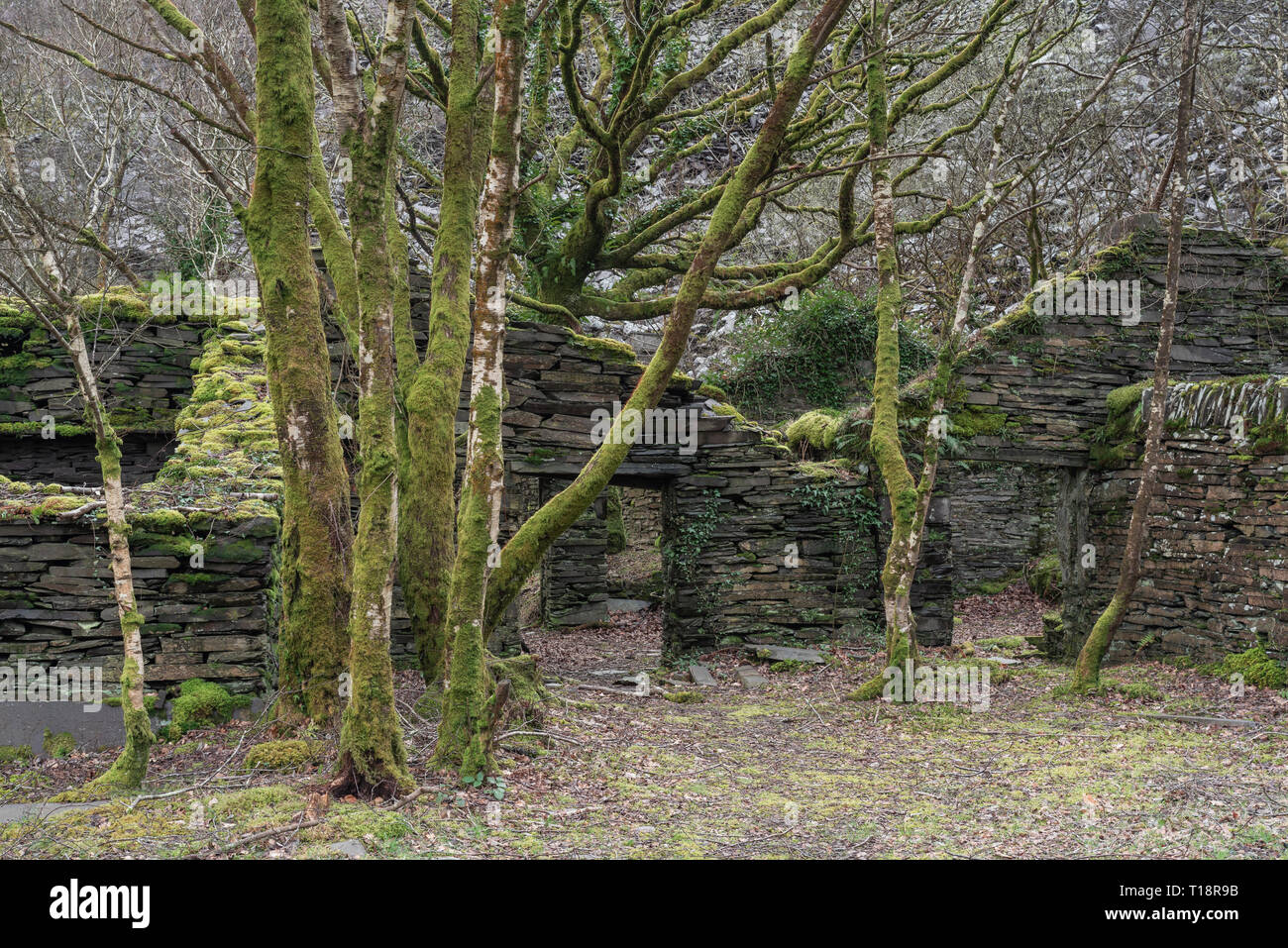 Dorothea quarry hi-res stock photography and images - Alamy