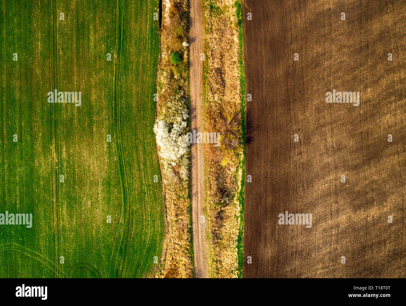 Aerial view over the agricultural fields. - Image Stock Photo - Alamy