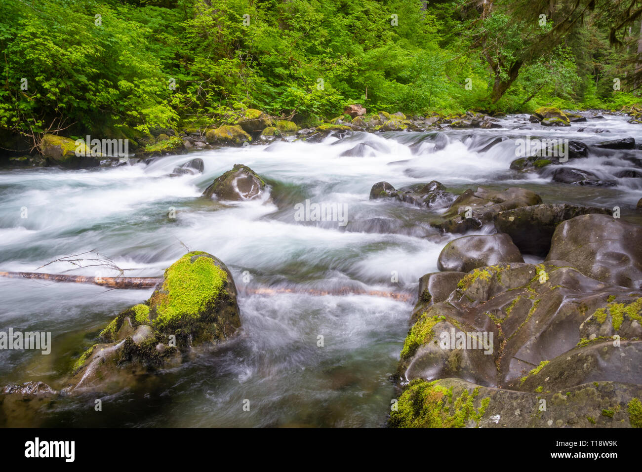Sol Duc River in Sol duc Forest, Olympic National Park or Peninsula ...
